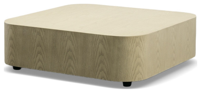 Modrest Teller Modern Square Low Coffee Table - Transitional - Coffee ...