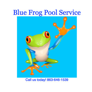 BLUE FROG POOL SERVICE - Project Photos & Reviews - Lakeland, FL US | Houzz
