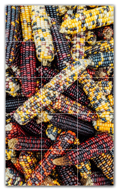 Farm Ceramic Tile Wall Mural HZ500580, 18" Wide x 30" High - Farmhouse ...