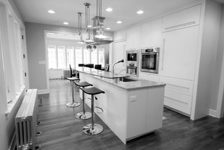 BICHI CONCEPTS - Project Photos & Reviews - Chicago, IL US | Houzz