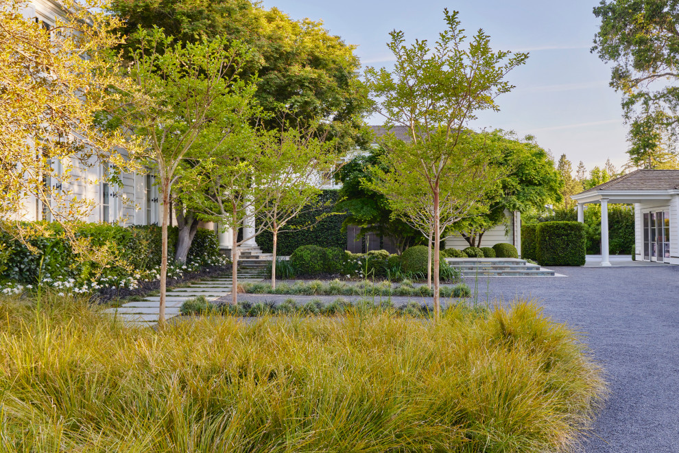 Then and Now - Traditional - Garden - San Francisco - by Randy Thueme ...