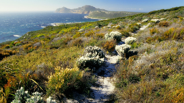 Let Nature Inspire Your Landscape: Shape a Sea-Inspired Garden