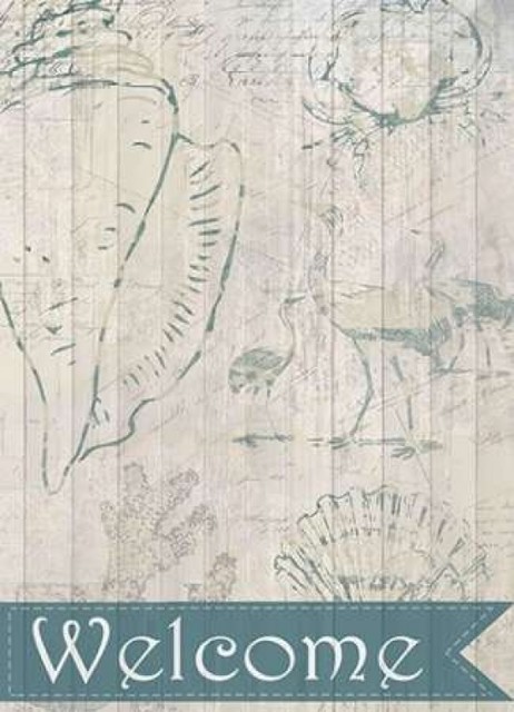 Coastal Shells Poster Print by Kimberly Allen - Item # VARPDXKARC042A ...