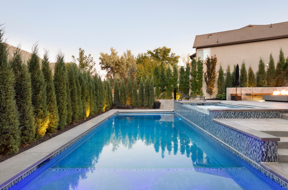 Spanish Fork Remodel - Modern - Pool - Salt Lake City - by DECOR ...