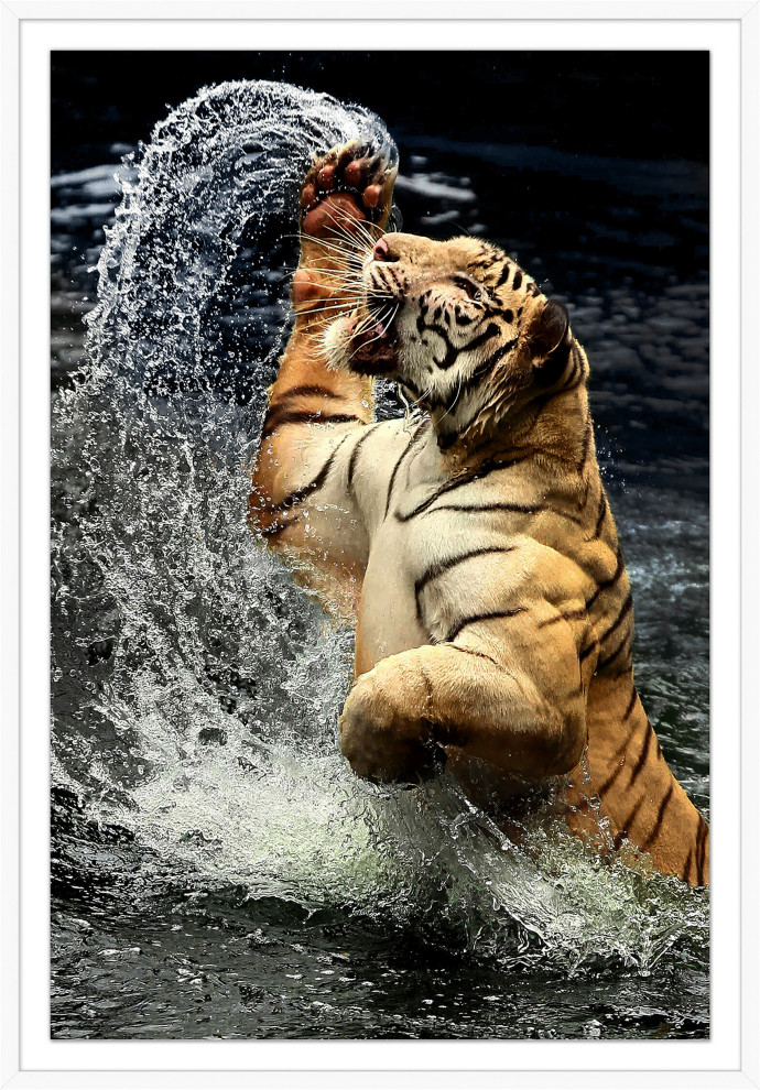 Tiger Jump 2 - Contemporary - Prints And Posters - by Wendover Art ...