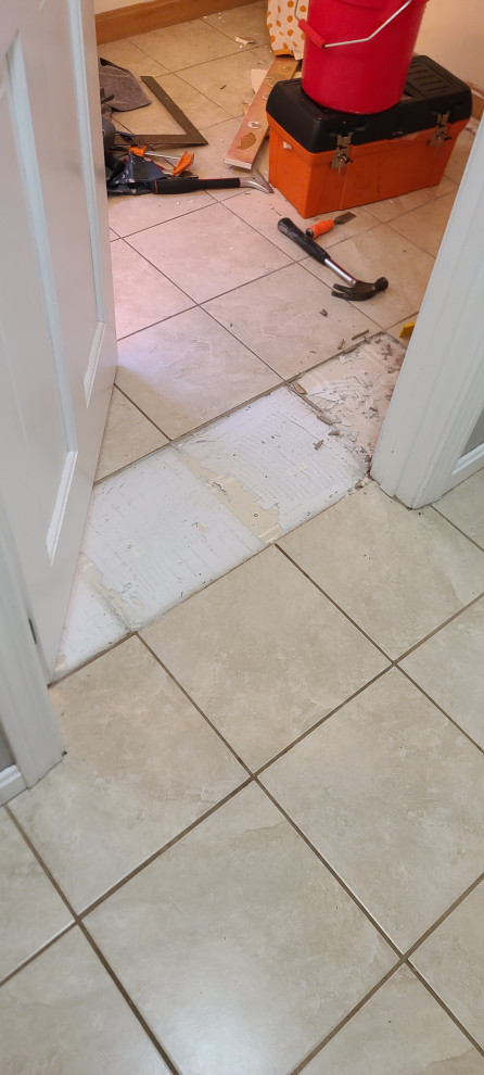 Threshold/transition bathroom tile.