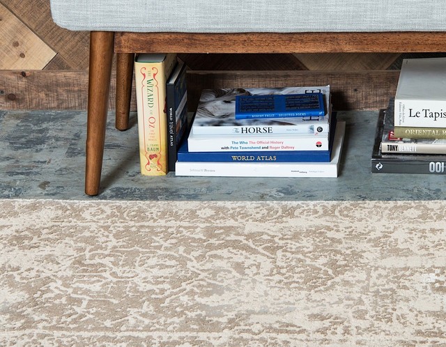 Contemporary Classique Area Rug, 9'x12' - Contemporary - Area Rugs - by ...