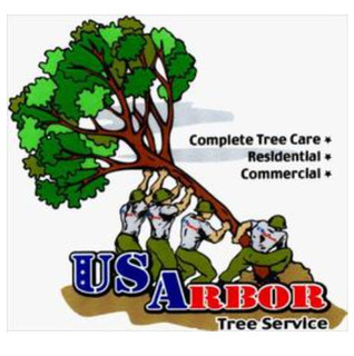 U. S. ARBOR TREE SERVICE - Project Photos & Reviews - Queen Creek, AZ ...