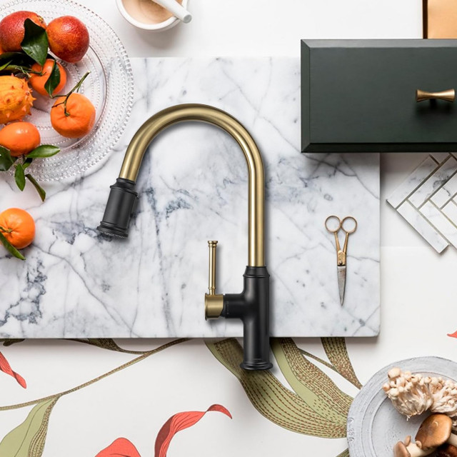 Elegant Kitchen Faucet, One Handle & 2 Mode Pull Down Sprayer ...