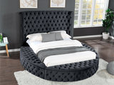 Hazel Queen Size Tufted Upholstery Storage Bed made with Wood in Black ...