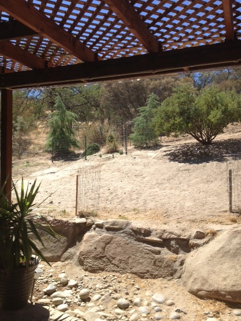 PLEASE HELP ME DOG PROOF and LANDSCAPE!