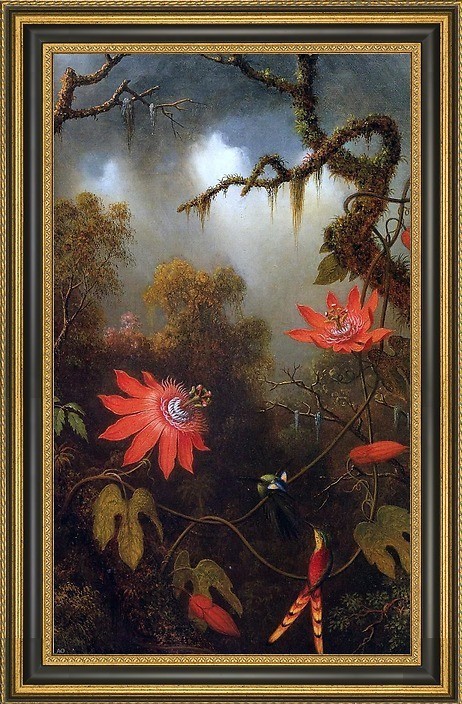 Martin Johnson Heade Two Hummingbirds Perched on Passion Flower Vines ...