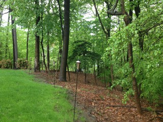 Cedar Stage Treehouse - Modern - Boston - by User | Houzz