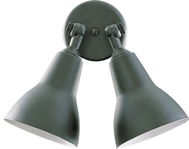 2-Light Par Lamp Ceiling Mount - Transitional - Outdoor Flood And Spot ...