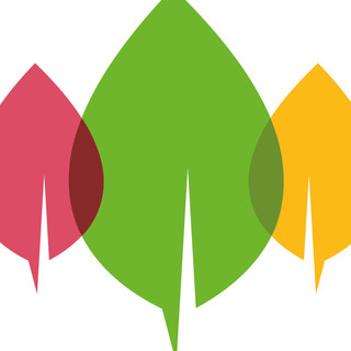ALIVE & GROWING LANDSCAPE & TREE - Project Photos & Reviews - Danbury ...