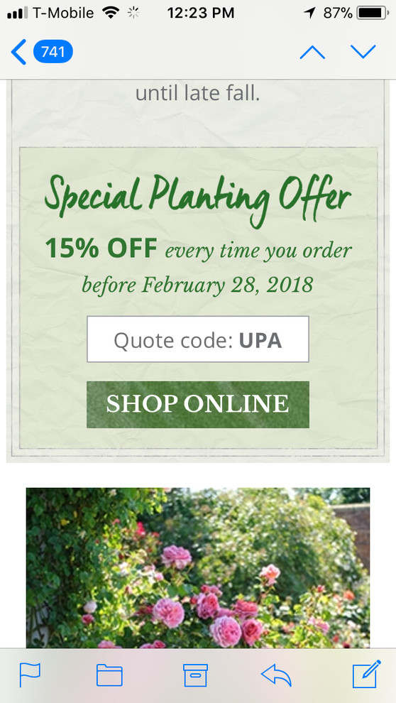 David Austin Coupon & Hortico Availability