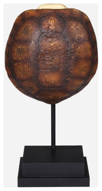 Faux Gopher Tortoise Shell on Stand - Contemporary - Decorative Objects ...