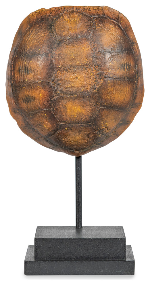 Faux Gopher Tortoise Shell on Stand - Contemporary - Decorative Objects ...