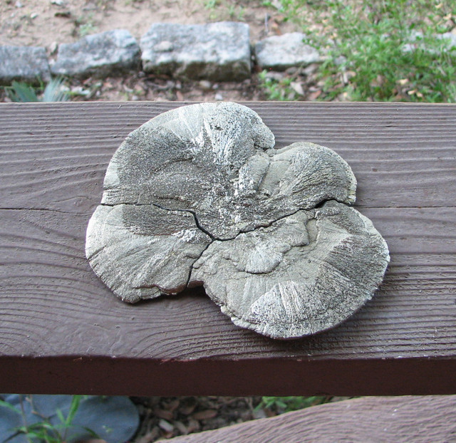 a pyrite flower