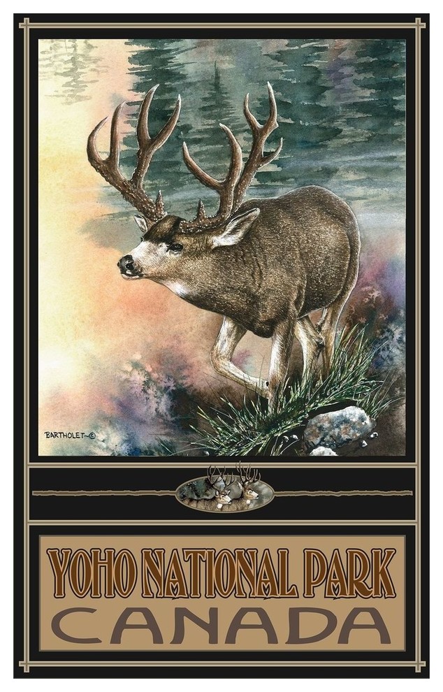 by Artist Dave Bartholet Yoho National Park Canada Elk Art Print, 24 ...