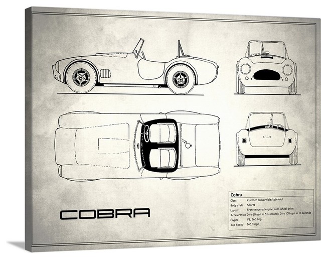 "AC Cobra White" Wrapped Canvas Art Print, 24"x18" - Contemporary ...
