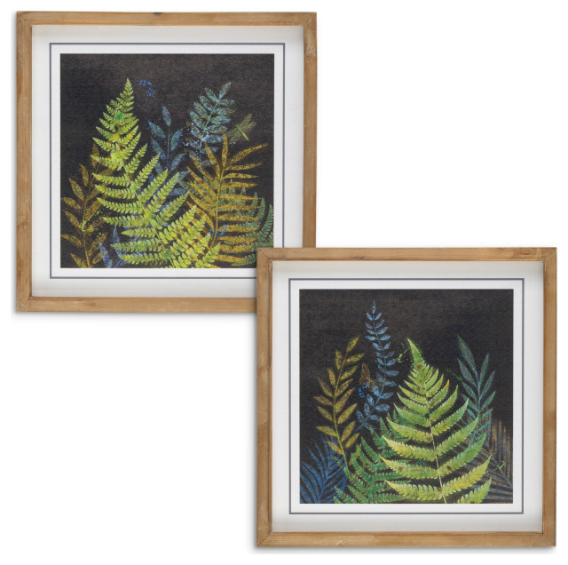 Set of 2, 15.75" Night Fern Wall Art, Wooden Frames - Tropical - Prints ...