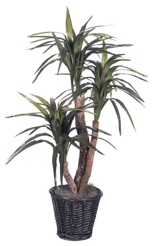 Vickerman 4' Artificial Marginata Extra Full Bush, Rattan Basket, 4 ...