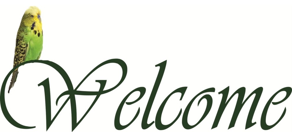 Parrot With Welcome Sign Picture Art Decal, 8x20" - Tropical - Wall ...