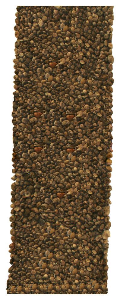 Manhattan Driftwood Wall Panel - Beach Style - Wall Panels - by Bellini ...