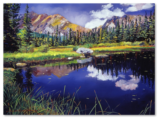 David Lloyd Glover 'Reflections in Solitude' Canvas Art, 14"x19 ...