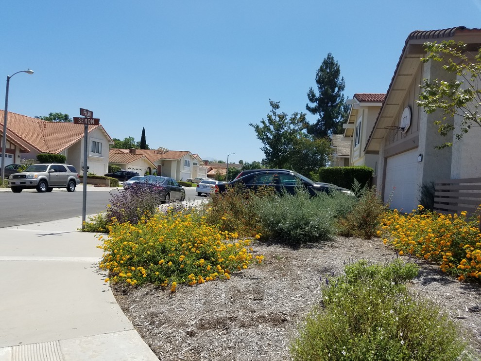 Irvine Front Yard - Modern - Landscape - Orange County - by creations ...