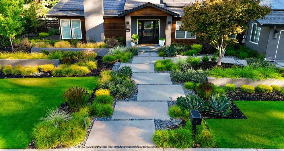 Alamo Modern Low Water Front Yard - Modern - Landscape - San Francisco ...