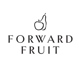 FORWARD FRUIT DESIGN - Project Photos & Reviews - Oak Park, IL US | Houzz