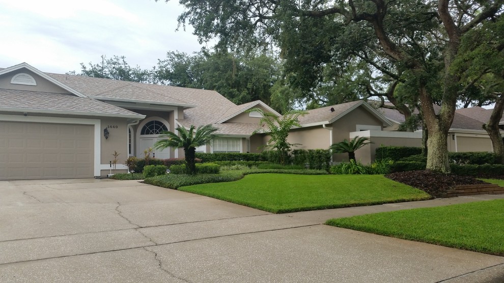 Roof Color and Drip Edge Color