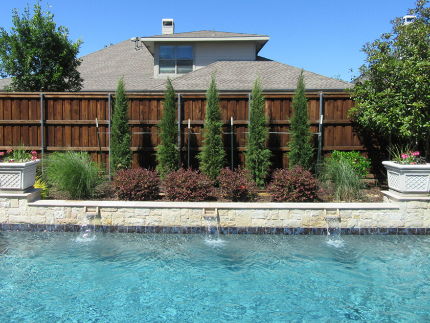 Taylor Eastern Red Cedars (Taylor Junipers) - Landscape - Dallas - by ...
