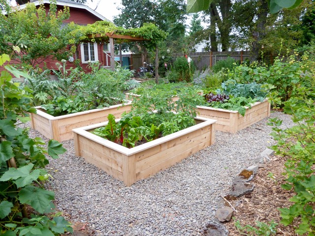 12 Tips to Help You Start an Edible Garden