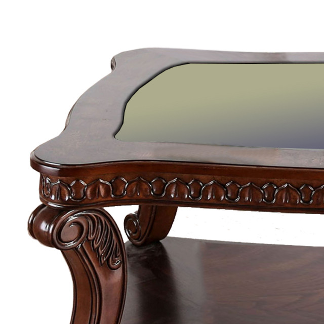 Traditional Coffee Table With Cabriole Legs and Wooden Carving, Brown ...