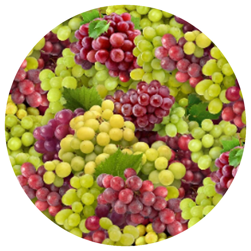 Andreas Grapes Casserole Trivet - Farmhouse - Trivets - by Andreas | Houzz