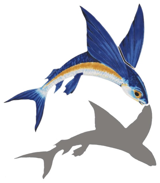 Flying Fish A Porcelain Swimming Pool Mosaic, 7" x 6" - Beach Style ...
