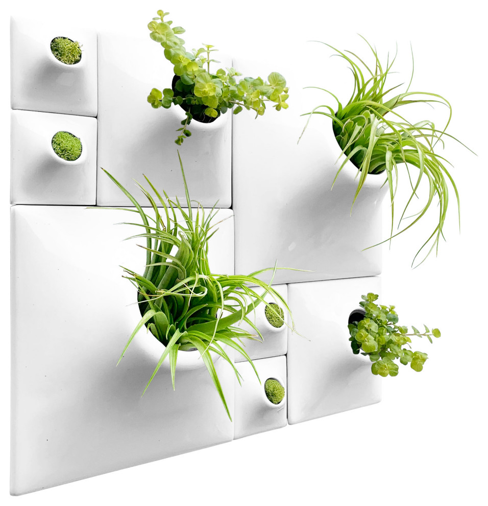 Modern Wall Planter Set, Node Living Wall, Ceramic, BS2 - Contemporary ...