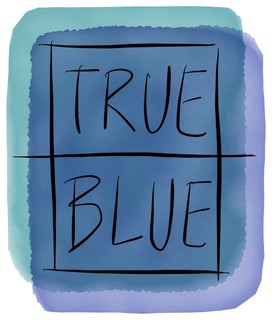 TRUE BLUE DESIGN-BUILD - Project Photos & Reviews - Truckee, CA US | Houzz