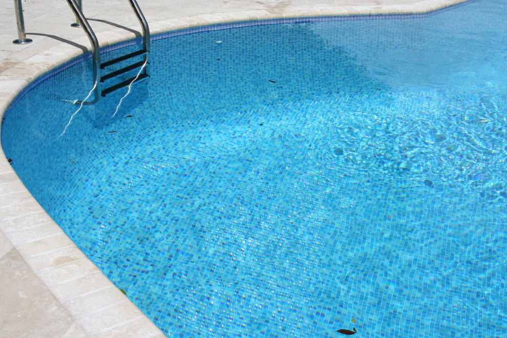 Iridescent Glass Tile Pool - Traditional - Miami - by Foreverpools | Houzz