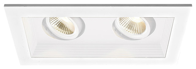 Mini Multiple LED Two-Light Remodel Housing With and-Light 2700K Narrow ...