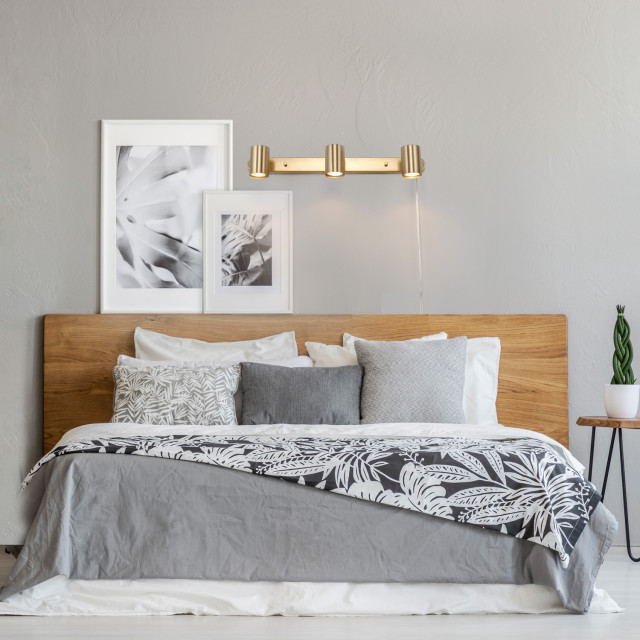 Dale 3-Light Matte Brass Plug-In Track Lighting - Transitional - Track ...