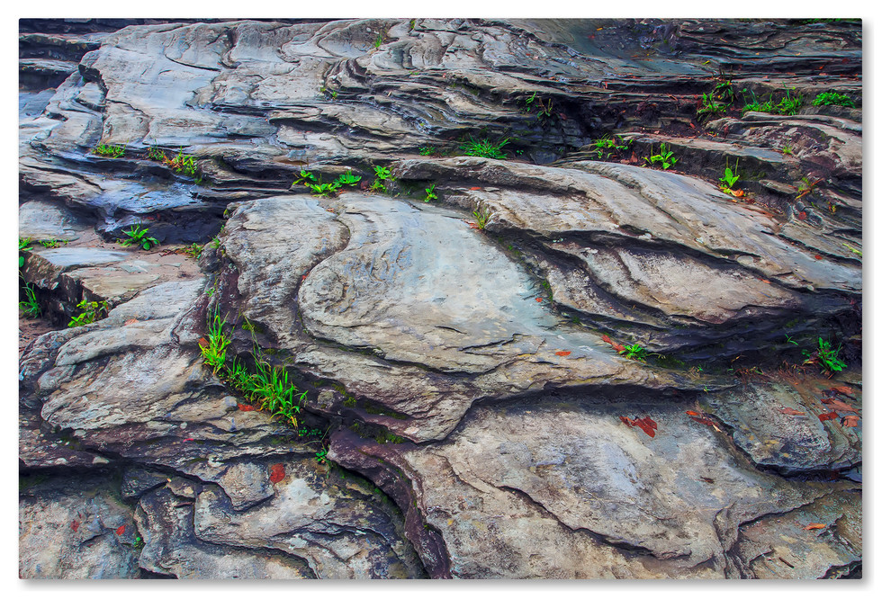 Bob Rouse 'Linville River Rock' Canvas Art, 16"x24" - Rustic - Prints ...