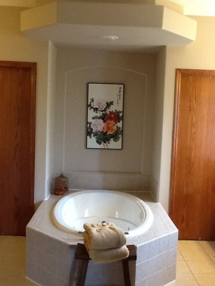 Blah master bath...Bathroom wall - inset - soffit colors.