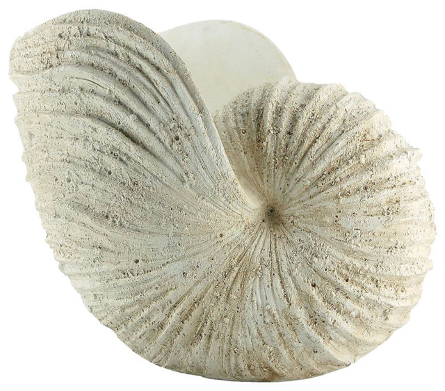 Well-Designed Polyresin Nautilus Shell decor Object, White - Beach ...