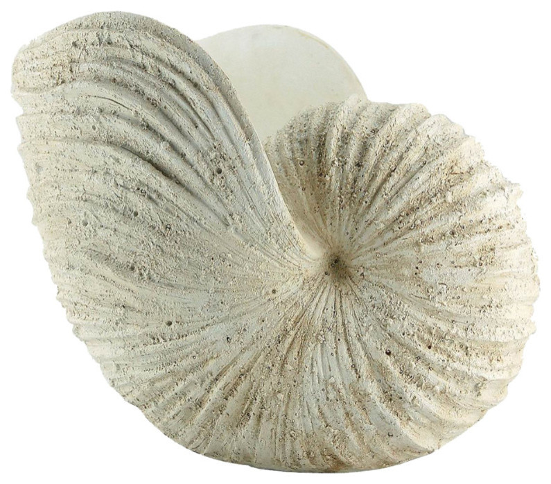 Well-Designed Polyresin Nautilus Shell decor Object, White - Beach ...