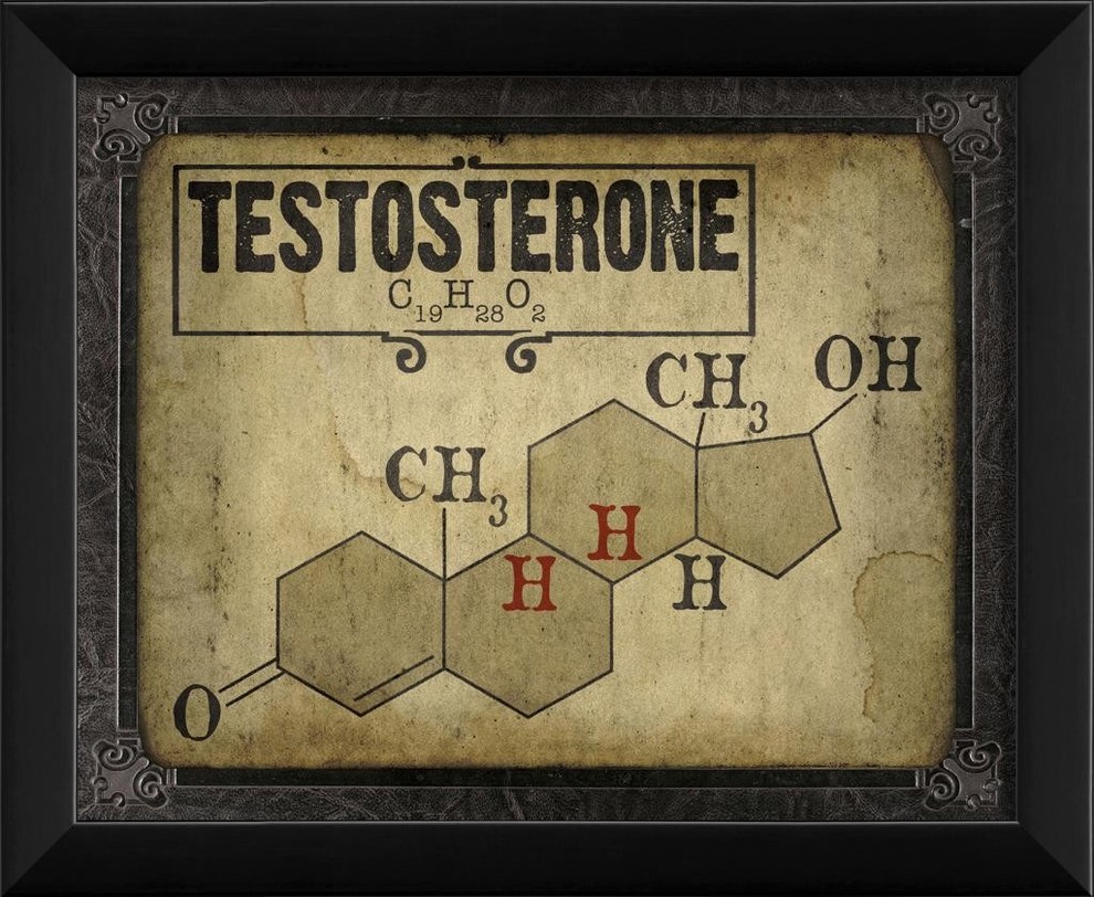 Testosterone Molecule Framed Artwork - Contemporary - Game Room Wall ...