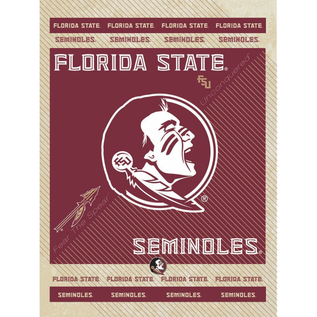 Holland Florida State University 24"x32" Canvas Wall Art - Southwestern ...